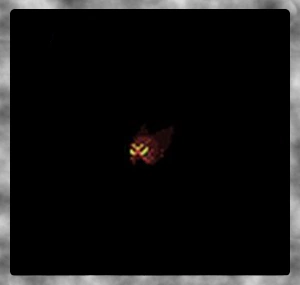 Amy Mask | Bones Underground Wiki | Fandom