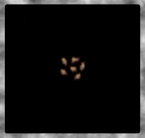 Pumpkin Seeds | Bones Underground Wiki | Fandom