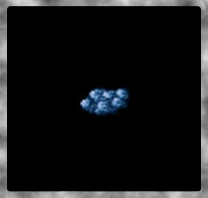 Ice Ore | Bones Underground Wiki | Fandom