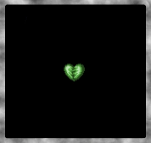 Elliots Heart | Bones Underground Wiki | Fandom