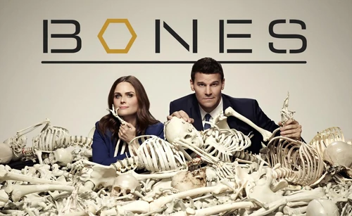 Wiki Bones | Fandom