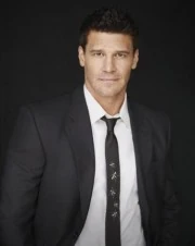 Seeley Booth | Bones Wiki | Fandom