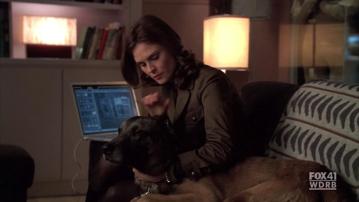 Ripley | Bones Wiki | Fandom