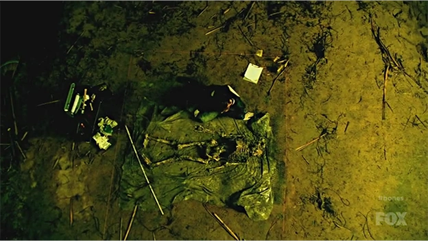 Title Sequence | Bones Wiki | Fandom