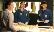 The Brain in the Bot | Bones Wiki | Fandom
