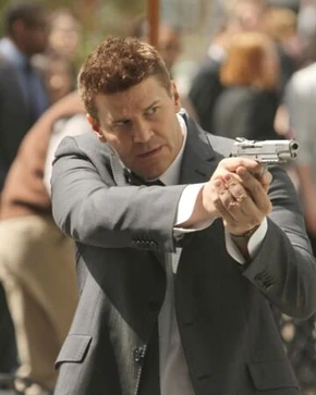 Seeley Booth | Bones Fanon Wiki | Fandom