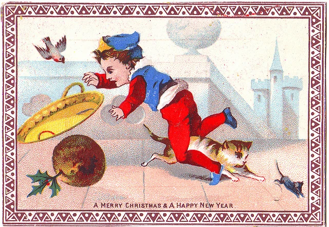 Cat | Bonko Wiki | Fandom