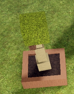 COCONUT TREE CROP | Booga Booga Ancient Times Wiki | Fandom