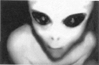 Grey | Boogeymen Wiki | Fandom