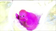 Jingbah | Boohbah Wiki | Fandom