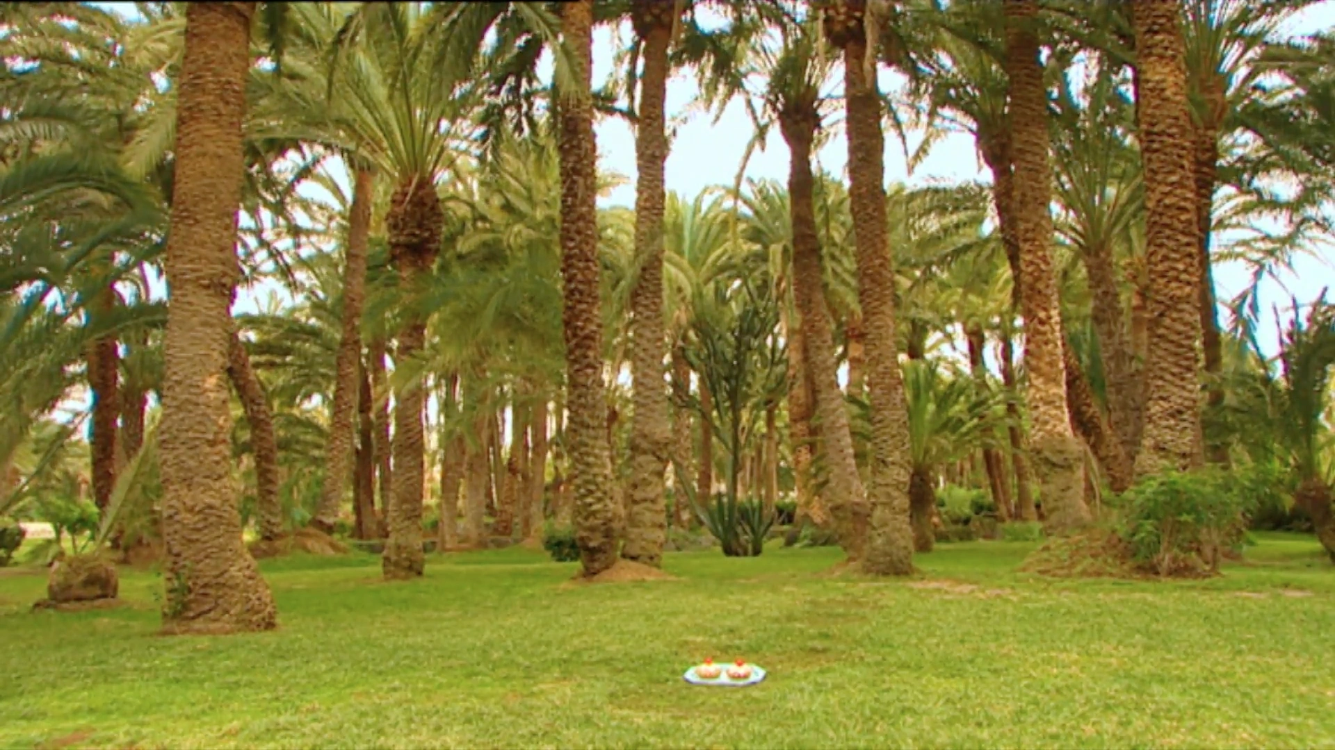 Cakes and String | Boohbah Wiki | Fandom