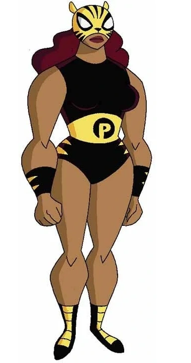 Pantha (Teen Titans) | Book of Heroes and Villains Wiki | Fandom