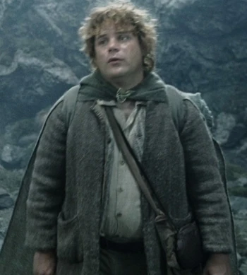 Sam Gamgee | Book of Heroes and Villains Wiki | Fandom