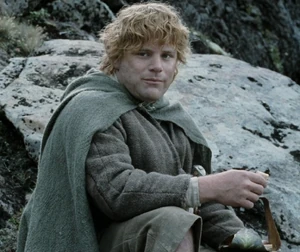Sam Gamgee | Book of Heroes and Villains Wiki | Fandom
