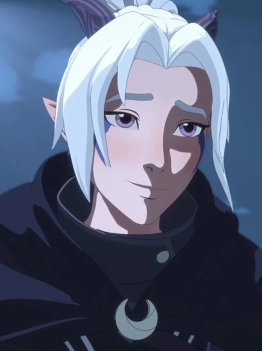 Rayla (The Dragon Prince) | Book of Heroes and Villains Wiki | Fandom