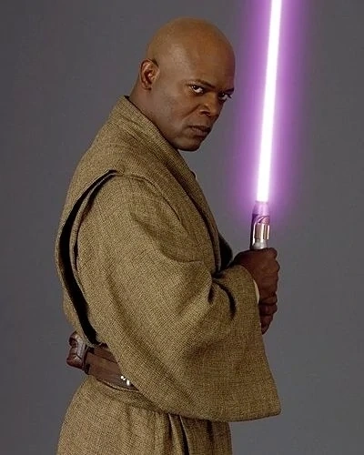 Mace Windu | Book of Heroes and Villains Wiki | Fandom