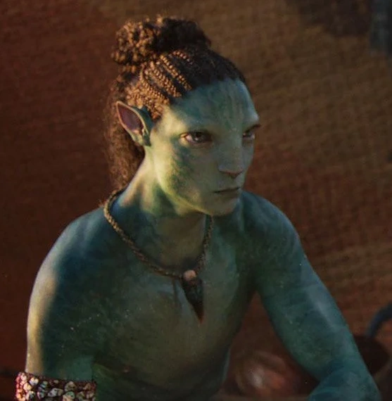 Aonung | Book of Heroes and Villains Wiki | Fandom