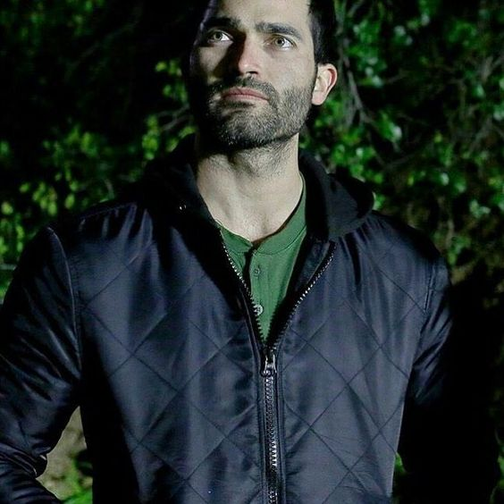 Derek Hale | Book of Heroes, Heroines and Villains Wiki | Fandom