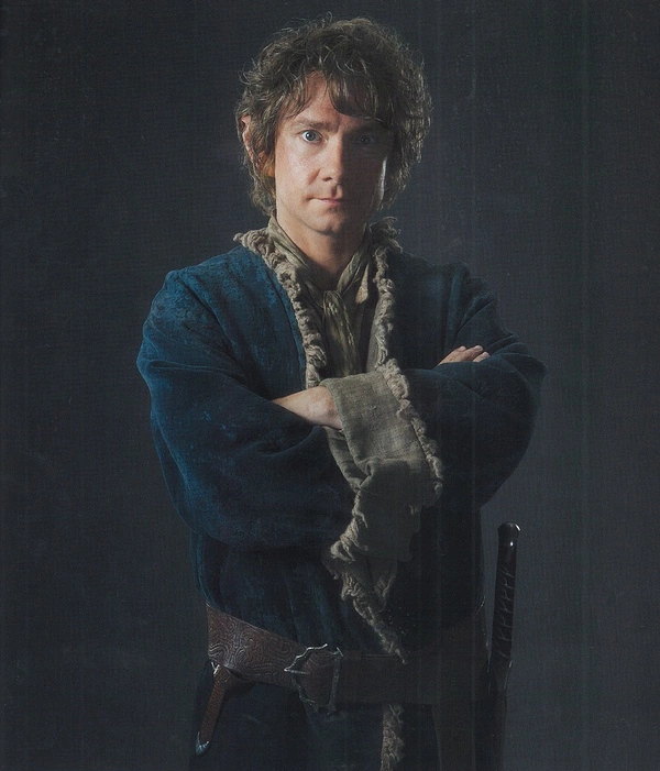 Bilbo Baggins | Book of Heroes, Heroines and Villains Wiki | Fandom