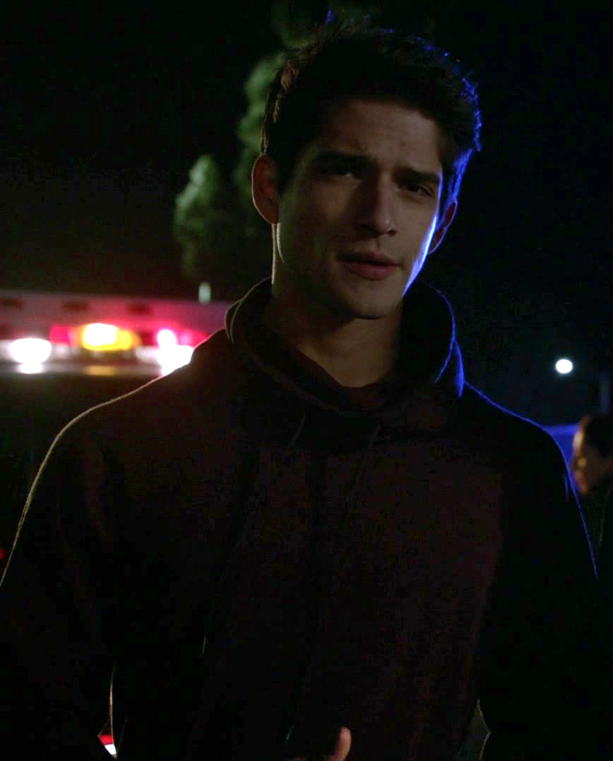 Scott McCall | Book of Heroes, Heroines and Villains Wiki | Fandom
