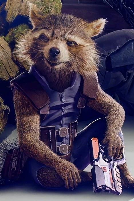 Rocket Raccoon (Marvel Cinematic Universe) | Book of Heroes, Heroines ...