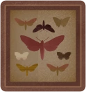 Lepidoptery Display (Grail-centric) | Book of Hours Wiki | Fandom
