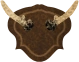 Yeth-Hound Horns | Book of Hours Wiki | Fandom