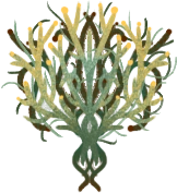 Eva's Locks | Book of Hours Wiki | Fandom