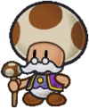 Toadsworth | Book of Mario Wiki | Fandom