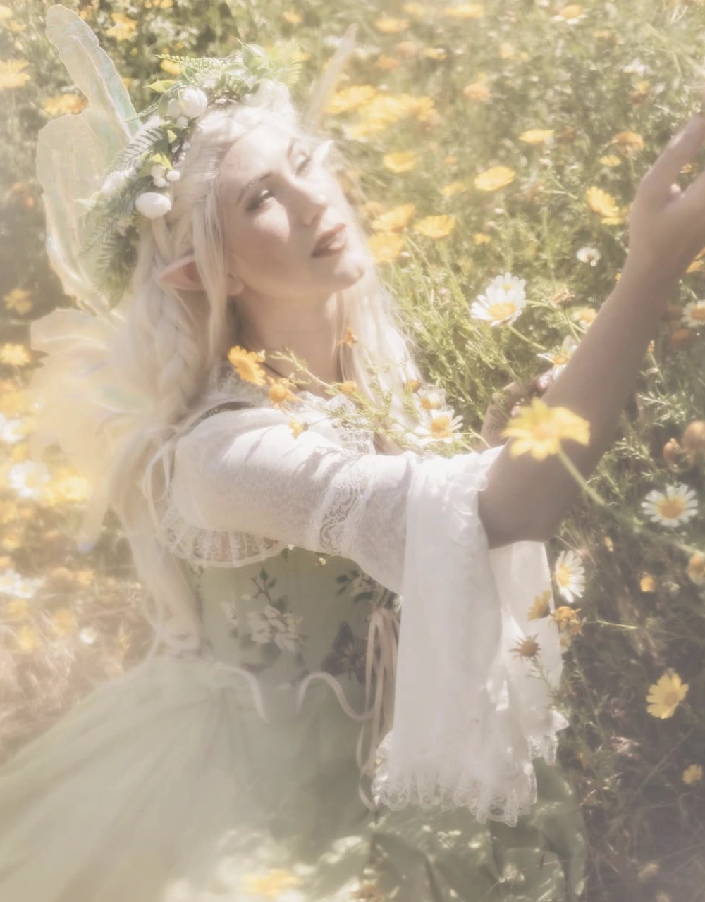 Fern | Book of the Fae Wiki | Fandom