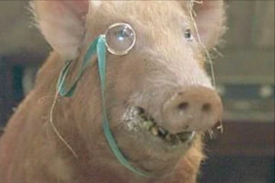 Squealer | Book Villains Wiki | Fandom