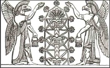 The Cosmic Code | Book Wiki | Fandom