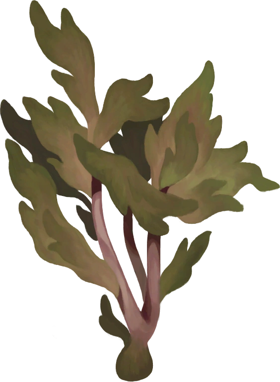 Tangled Plant - Book of Travels Wiki