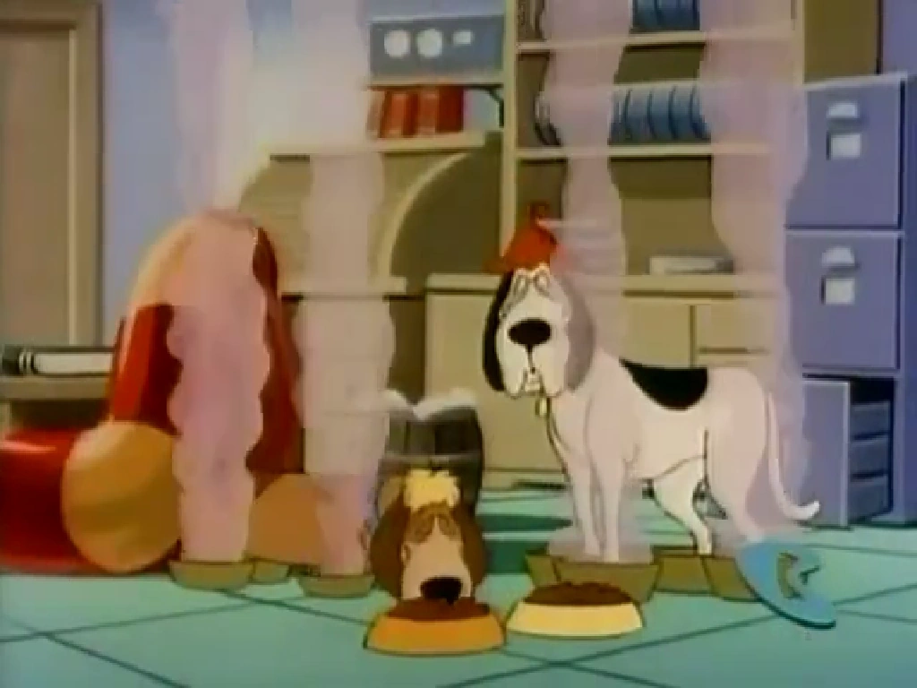 May 24, 2010 | Boomerang Schedule Archive Wiki | Fandom