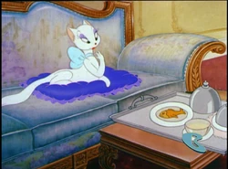 May 7, 2014 | Boomerang Schedule Archive Wiki | Fandom