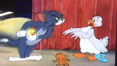 July 28, 2014 | Boomerang Schedule Archive Wiki | Fandom