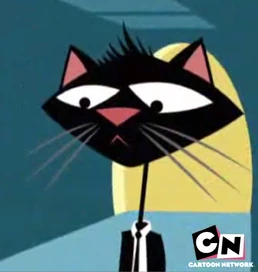 Cat-22 | Boomerang from Cartoon Network Wiki | Fandom