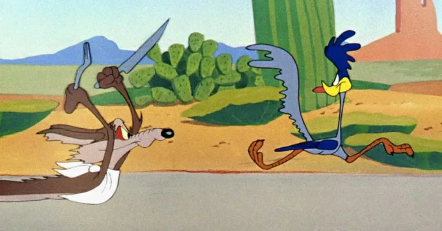 Road Runner | Boomerang TV Türkiye | Fandom