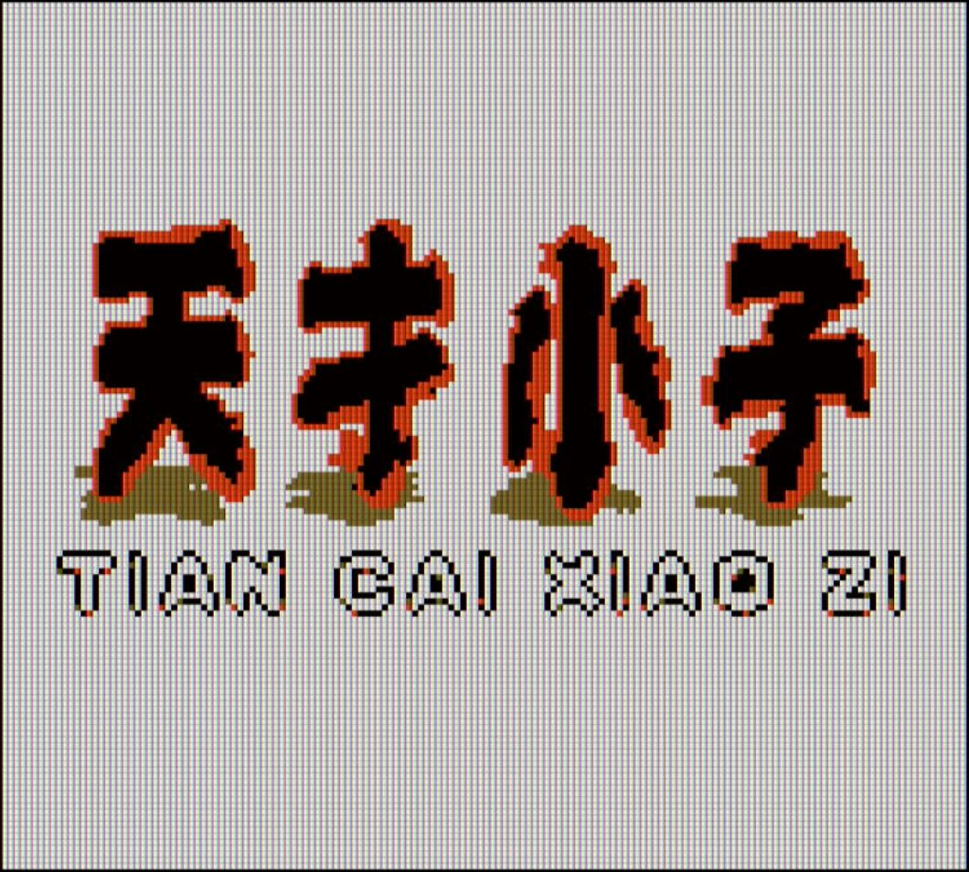 Tian Cai Xiao Zi | BootlegGames Wiki | Fandom