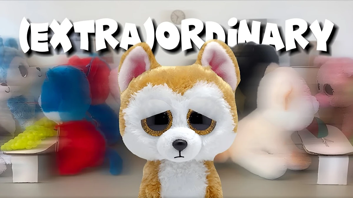 (Extra)Ordinary | BooTube Wiki | Fandom