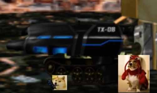 Boppity cat 31 | Boppity cat Wiki | Fandom