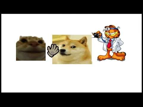 Boppity cat 10 | Boppity cat Wiki | Fandom