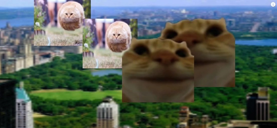 Boppity cat 2 | Boppity cat Wiki | Fandom