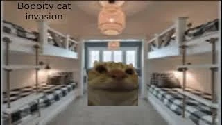 Boppity cat 1 | Boppity cat Wiki | Fandom