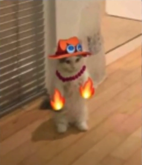 Flamethrower Boppity cat | Boppity cat Wiki | Fandom