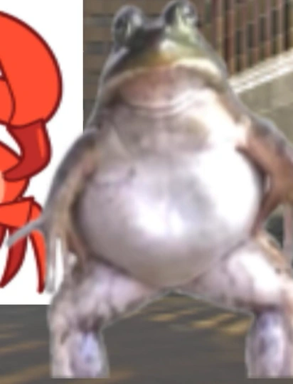 Boppity cat 38 | Boppity cat Wiki | Fandom