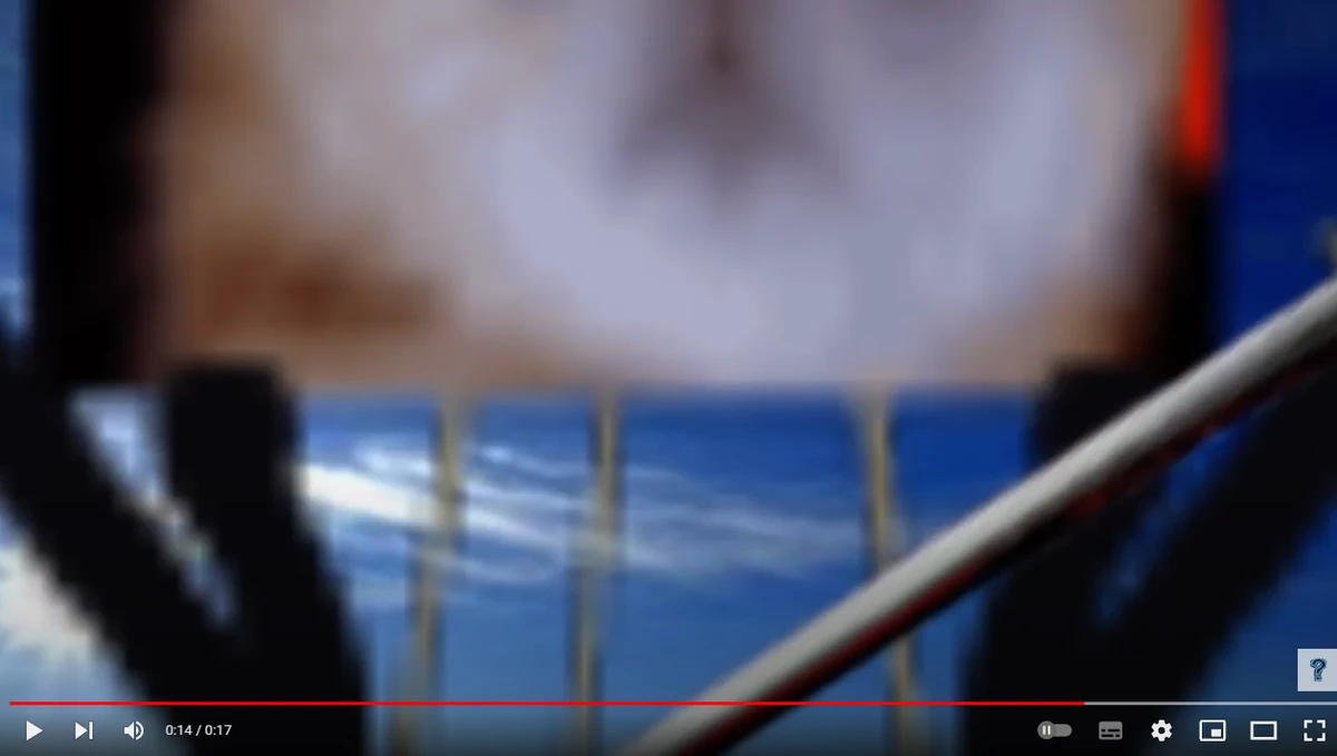 Malformer Spider Boppity cat | Boppity cat Wiki | Fandom