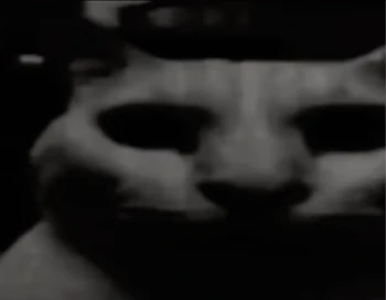 Large Boppity cat | Boppity cat Wiki | Fandom