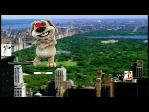 Boppity cat 12 | Boppity cat Wiki | Fandom