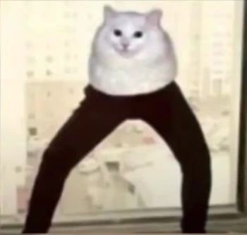 Human Legs Boppity Cat | Boppity cat Wiki | Fandom